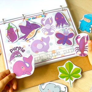 Color Sorting Activity Personalized Preschool Busy Book Printable ...