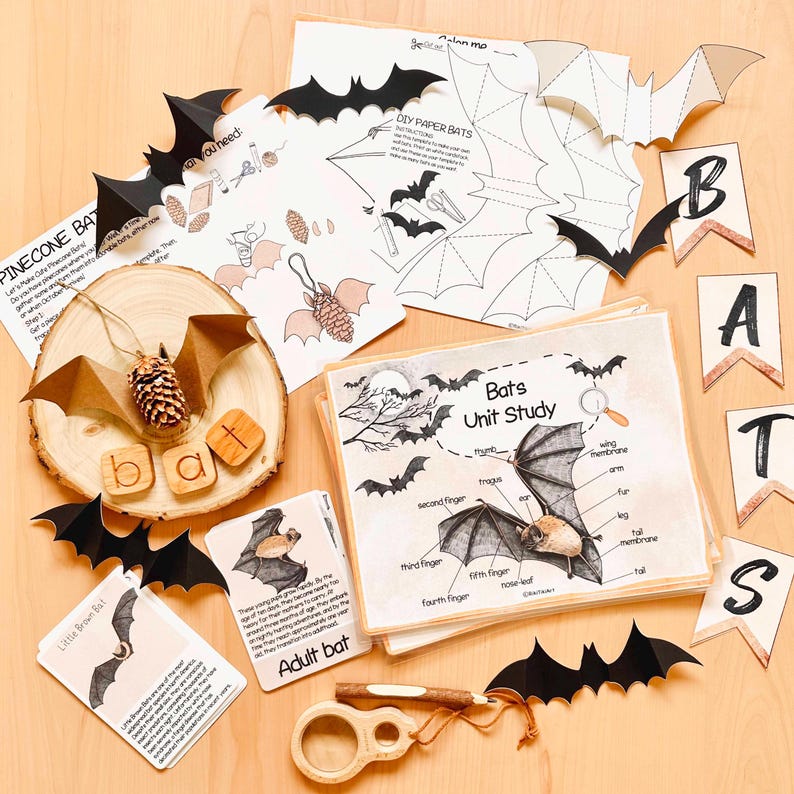Fall Unit Studies Bundle – Spiders, Bats, Pumpkins & Turkey Unit Study ...