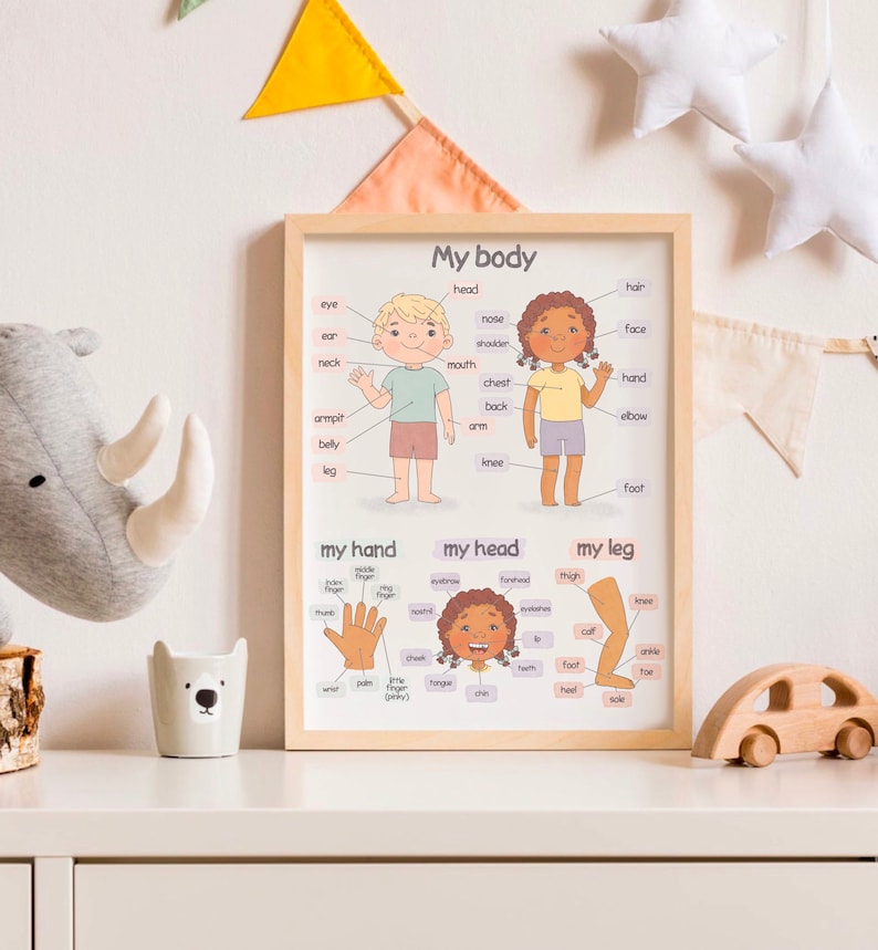 Body Parts Poster Montessori Homeschool Educational Posters - Etsy