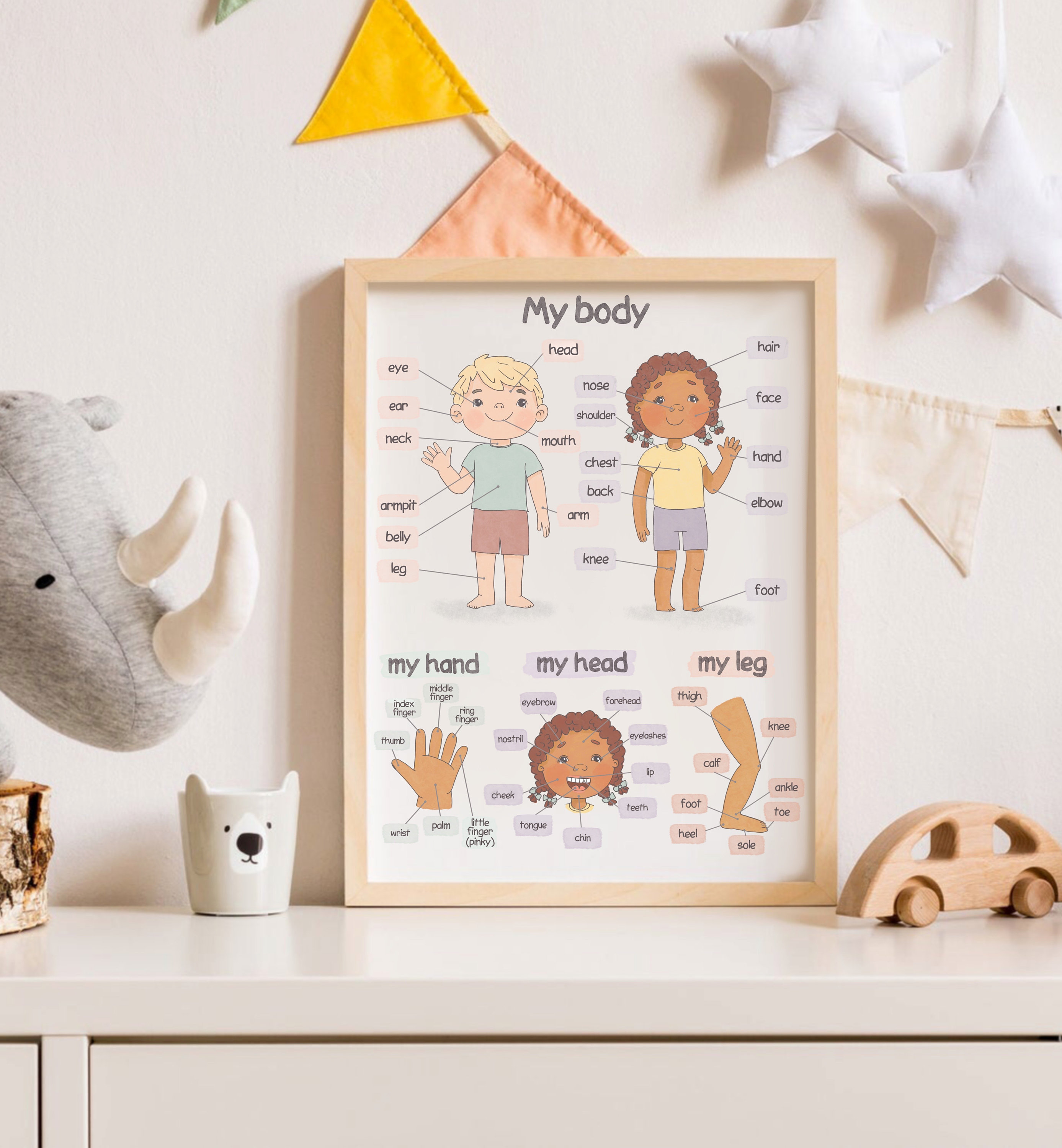 Body Parts Poster Montessori Homeschool Educational Posters for ...