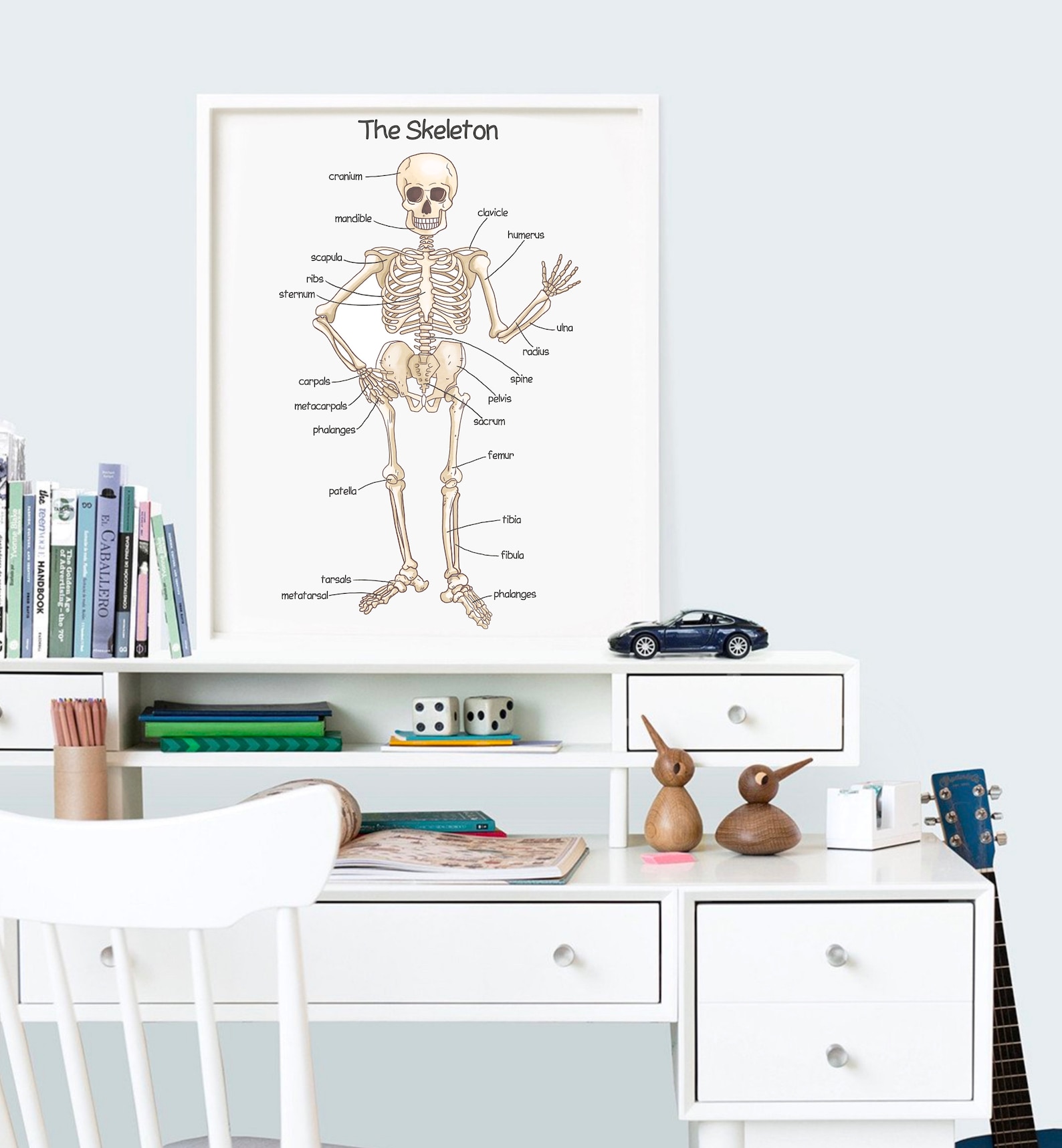 Human Skeleton Poster for Kids Human Bones Downloadable Prints | Etsy