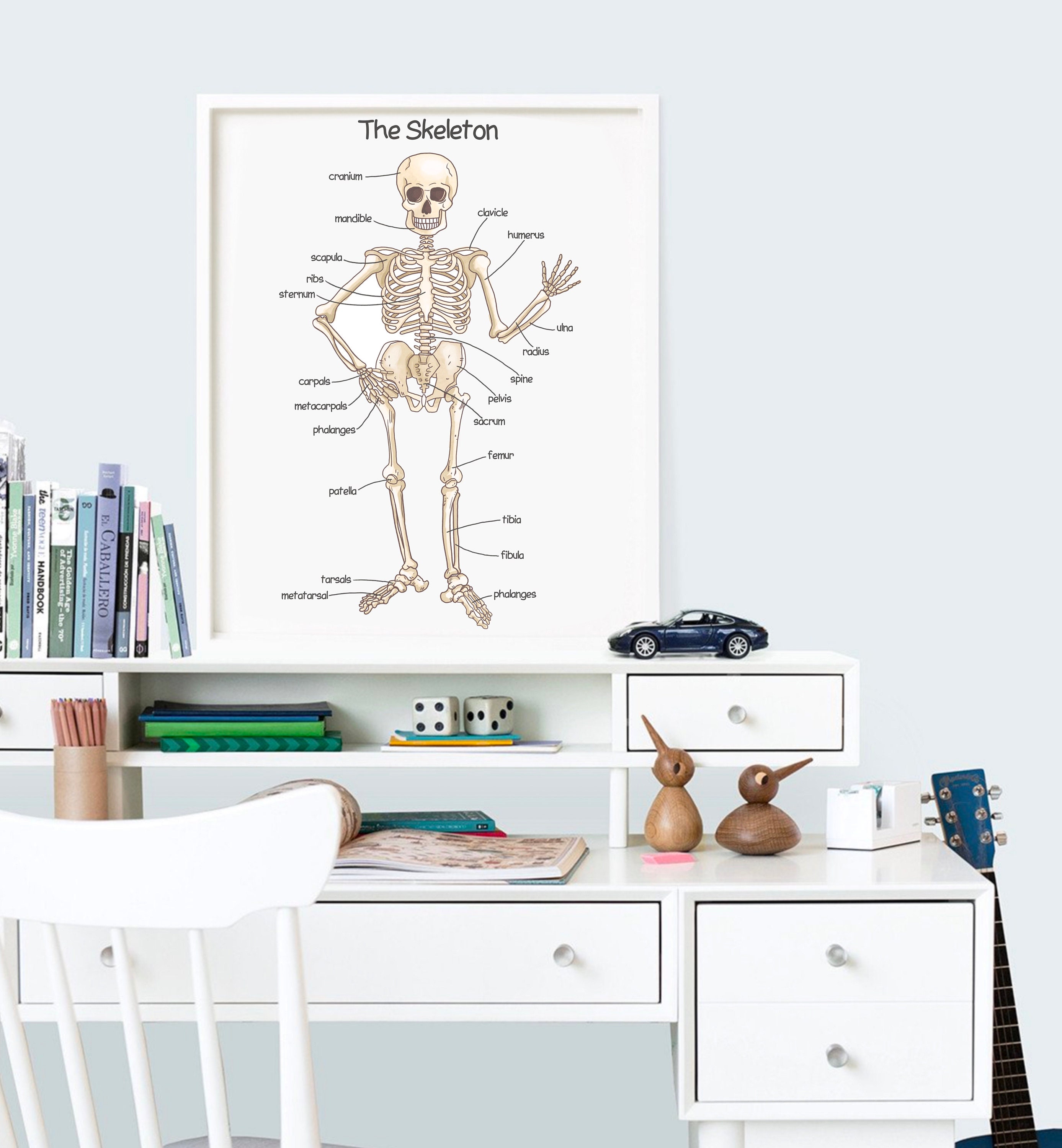 Human Skeleton Poster for Kids Human Bones Downloadable Prints | Etsy