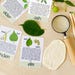 Printable Nature Journal Homeschool Learning Materials Charlotte Mason ...