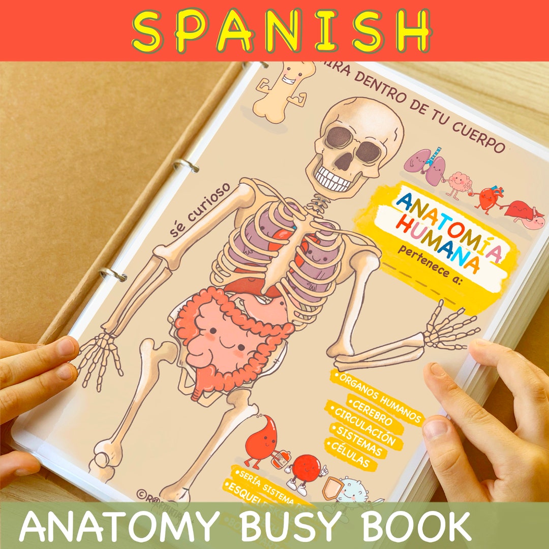 Spanish Human Anatomy Busy Book Homeschool Learning Resources Body ...