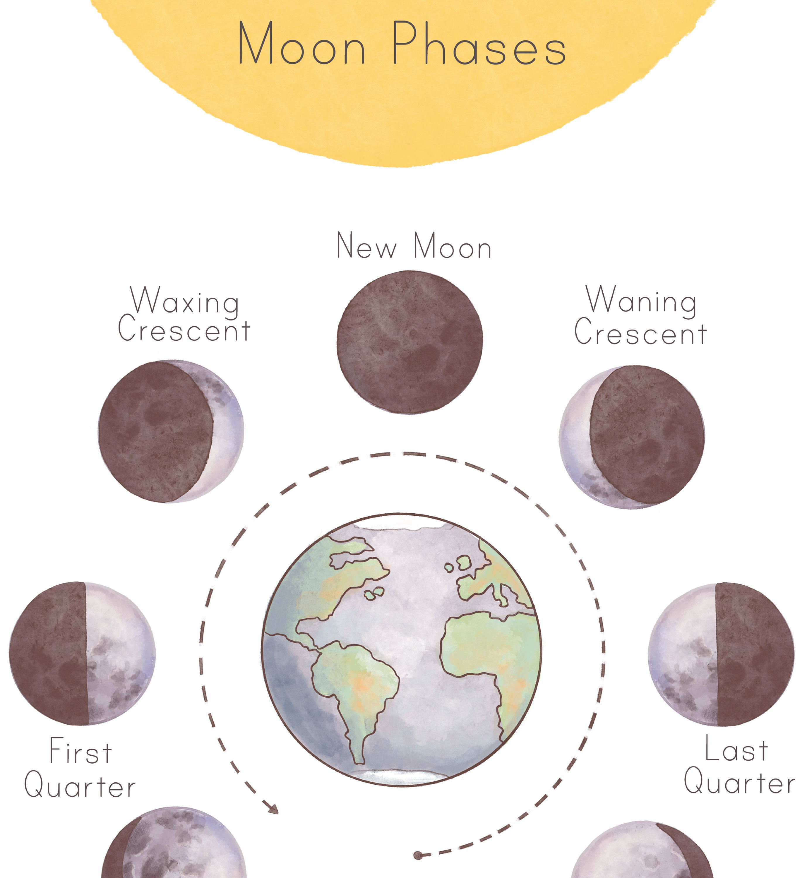 Moon Phases Educational Posters Montessori Moon Phases Homeschool Decor ...