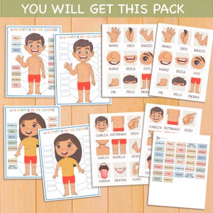 Spanish Body Parts Printable Montessori Materials, Human Anatomy ...