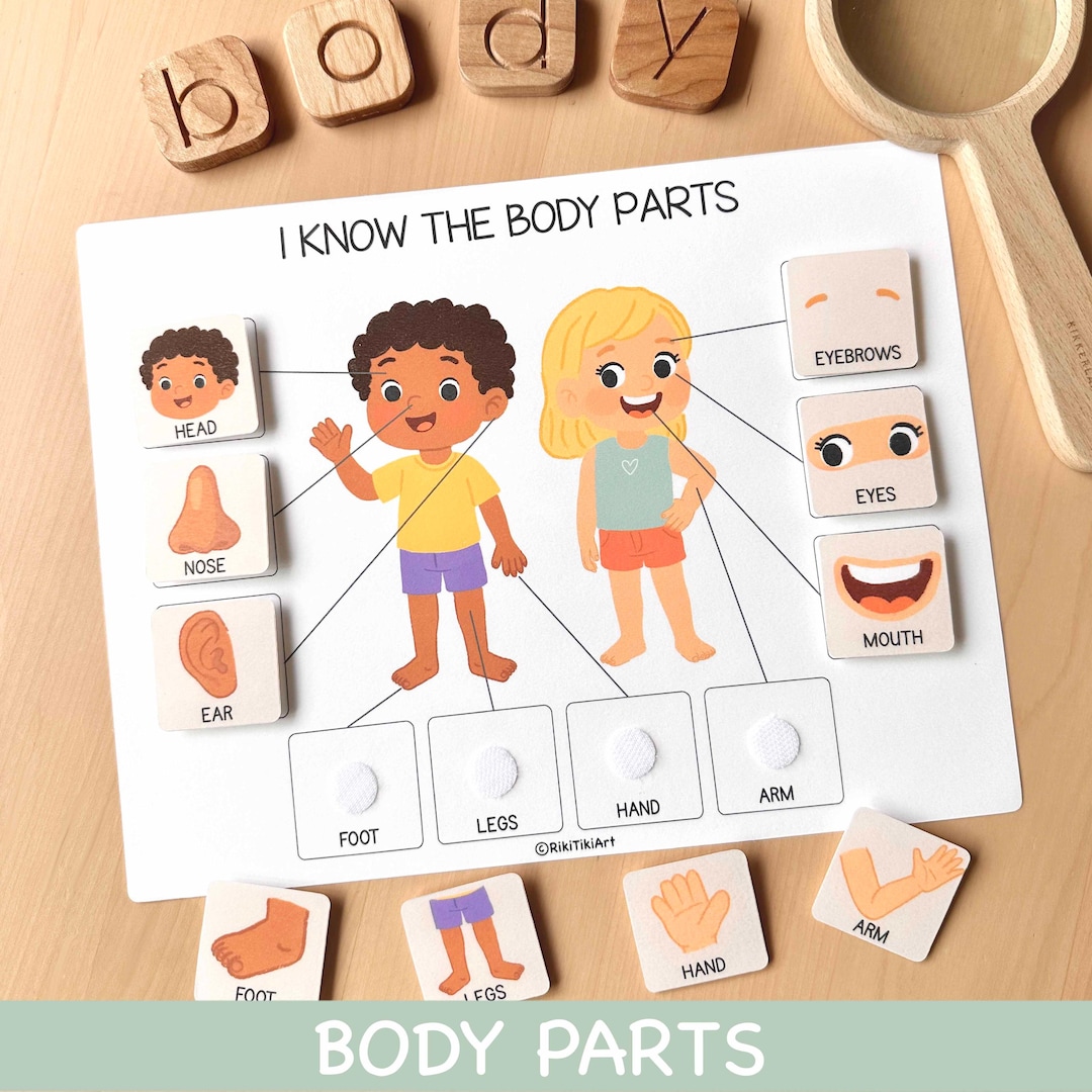 Body Parts Matching Activity for Kids – Human Anatomy Preschool ...