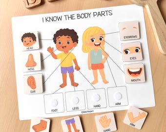 Human Body Cell, Preschool Activities, Printable Homeschool Anatomy ...