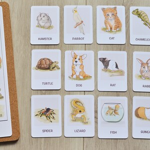 Pets Flashcards, Homeschool Montessori Materials Flash Cards, Printable ...