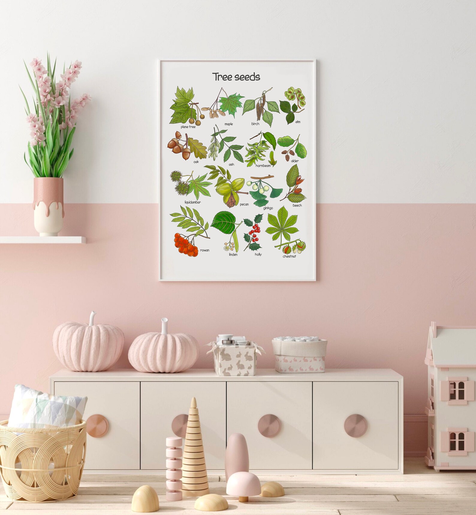 Tree Seeds Poster Homeschool Educational Posters Montessori | Etsy