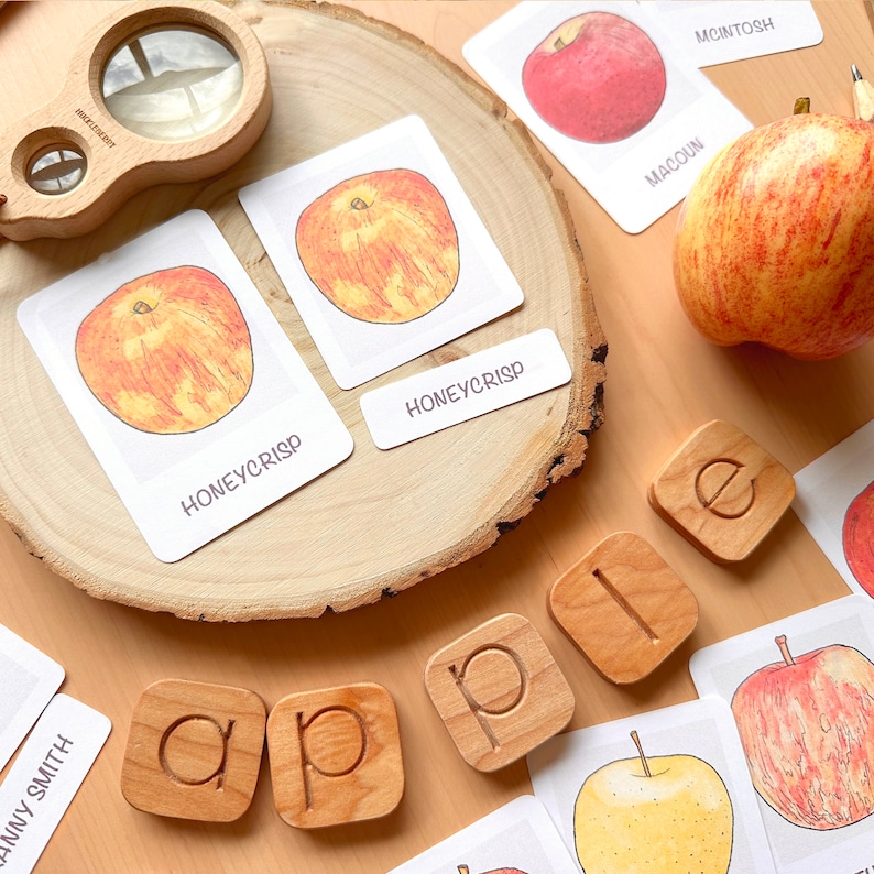 Apple Flash Cards Montessori Printable Homeschool Resources Educational ...