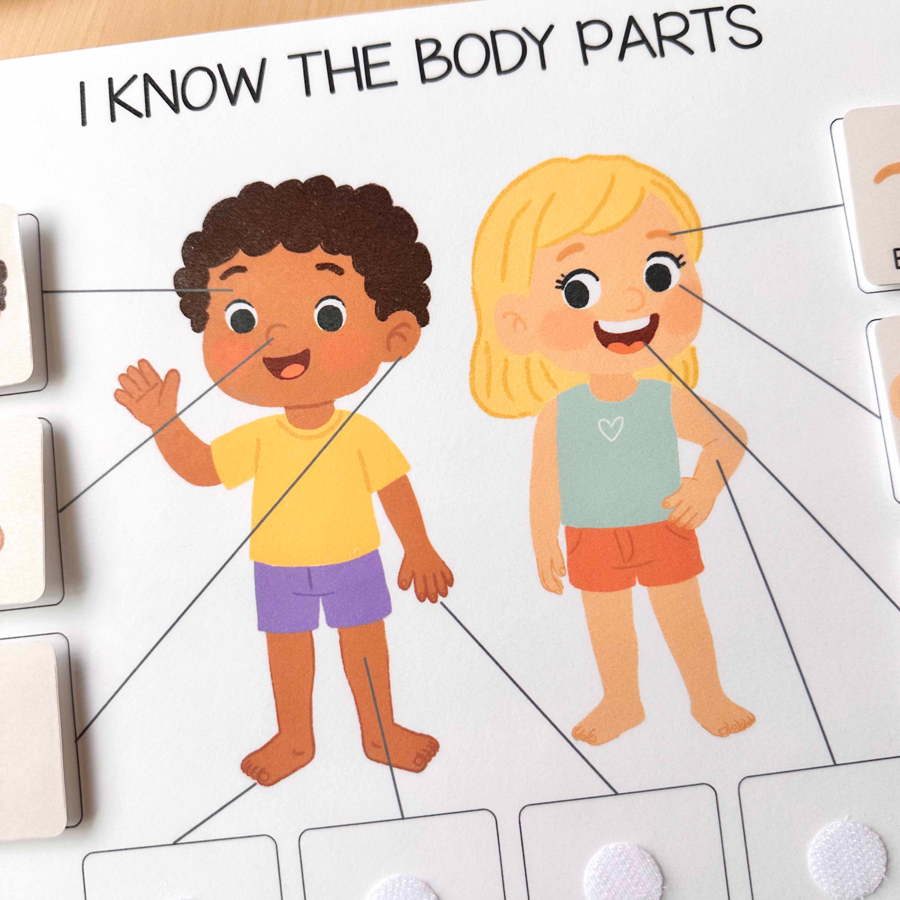 Body Parts Matching Activity for Kids – Human Anatomy Preschool ...