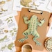 Frog Unit Study Homeschool Summer Activities Frog and Toad Life Cycle ...