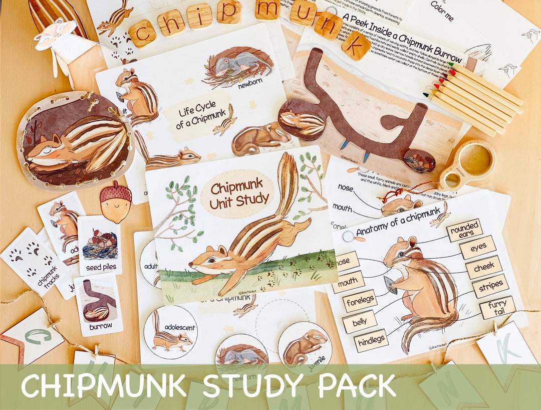 Chipmunk Unit Study Bundle Fall Homeschool Printables Charlotte Mason ...