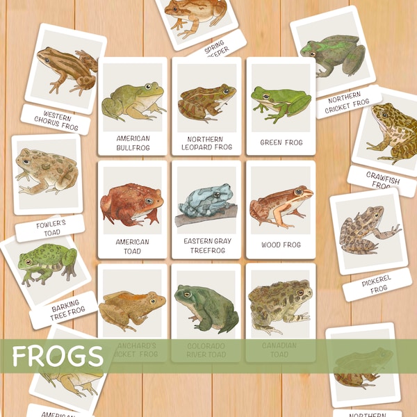 Flash Cards - Etsy