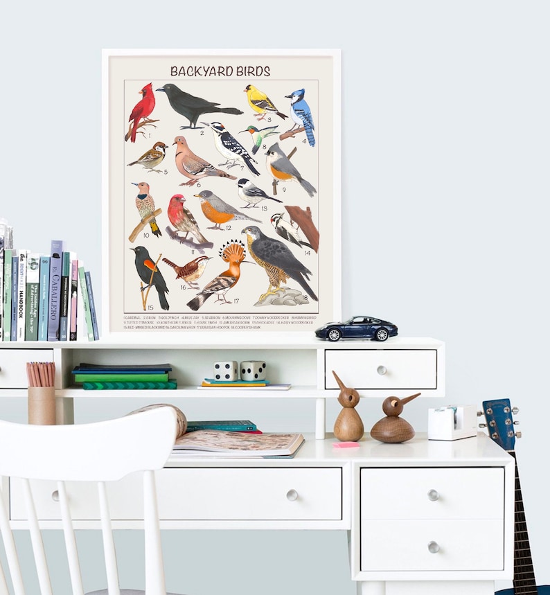 Backyard Birds Educational Posters Montessori Nursery - Etsy