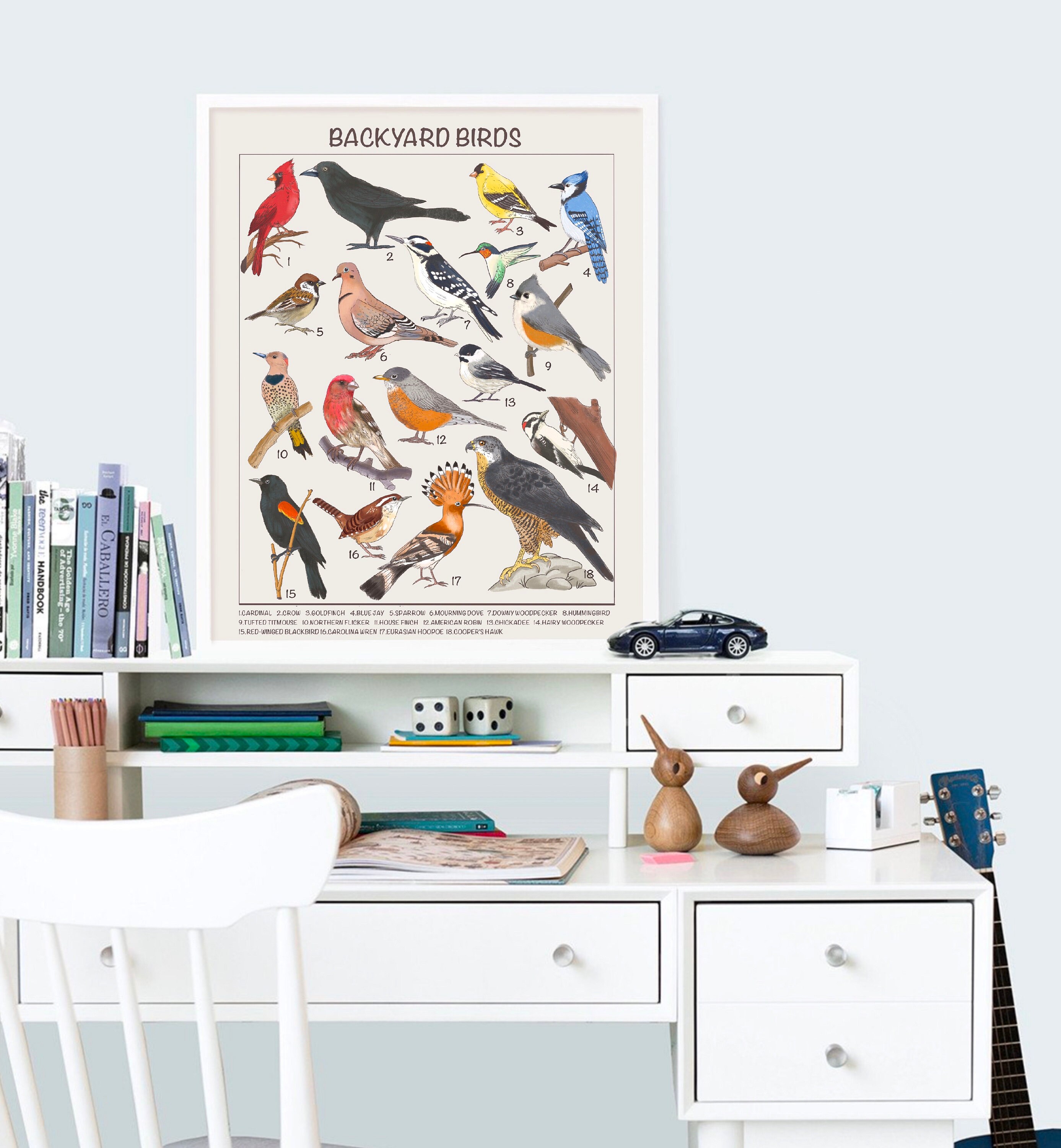 Backyard Birds Educational Posters, Montessori Nursery Downloadable ...