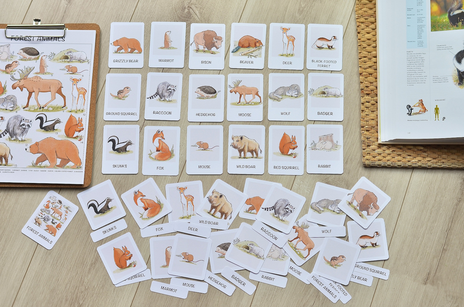 Woodland Animals Flash Cards Printable Montessori Materials | Etsy