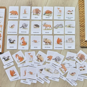 Woodland Animals Flash Cards, Printable Montessori Materials ...