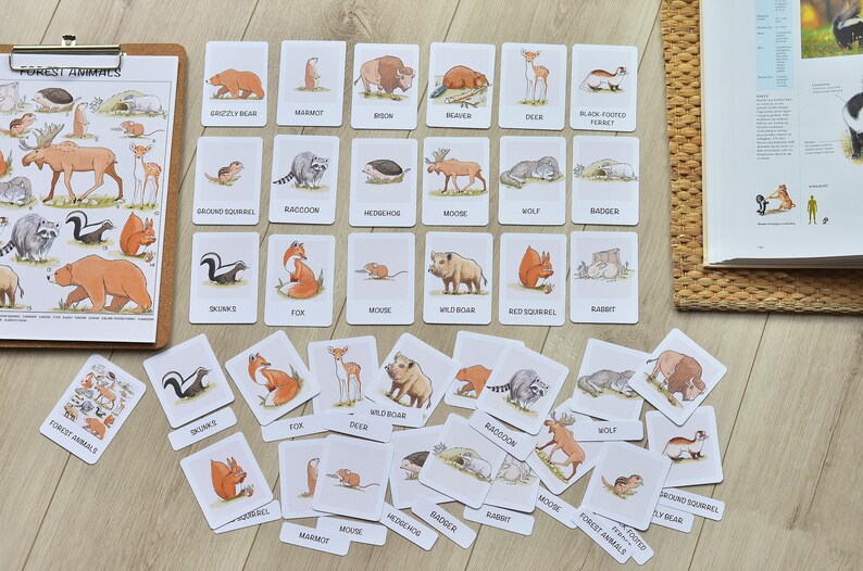 Woodland Animals Flash Cards Printable Montessori Materials - Etsy Canada