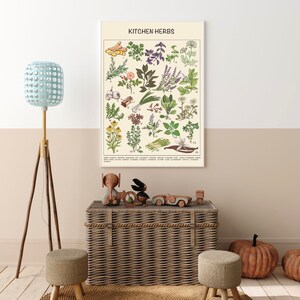 Kitchen Herbs Downloadable Prints Homeschool Educational | Etsy