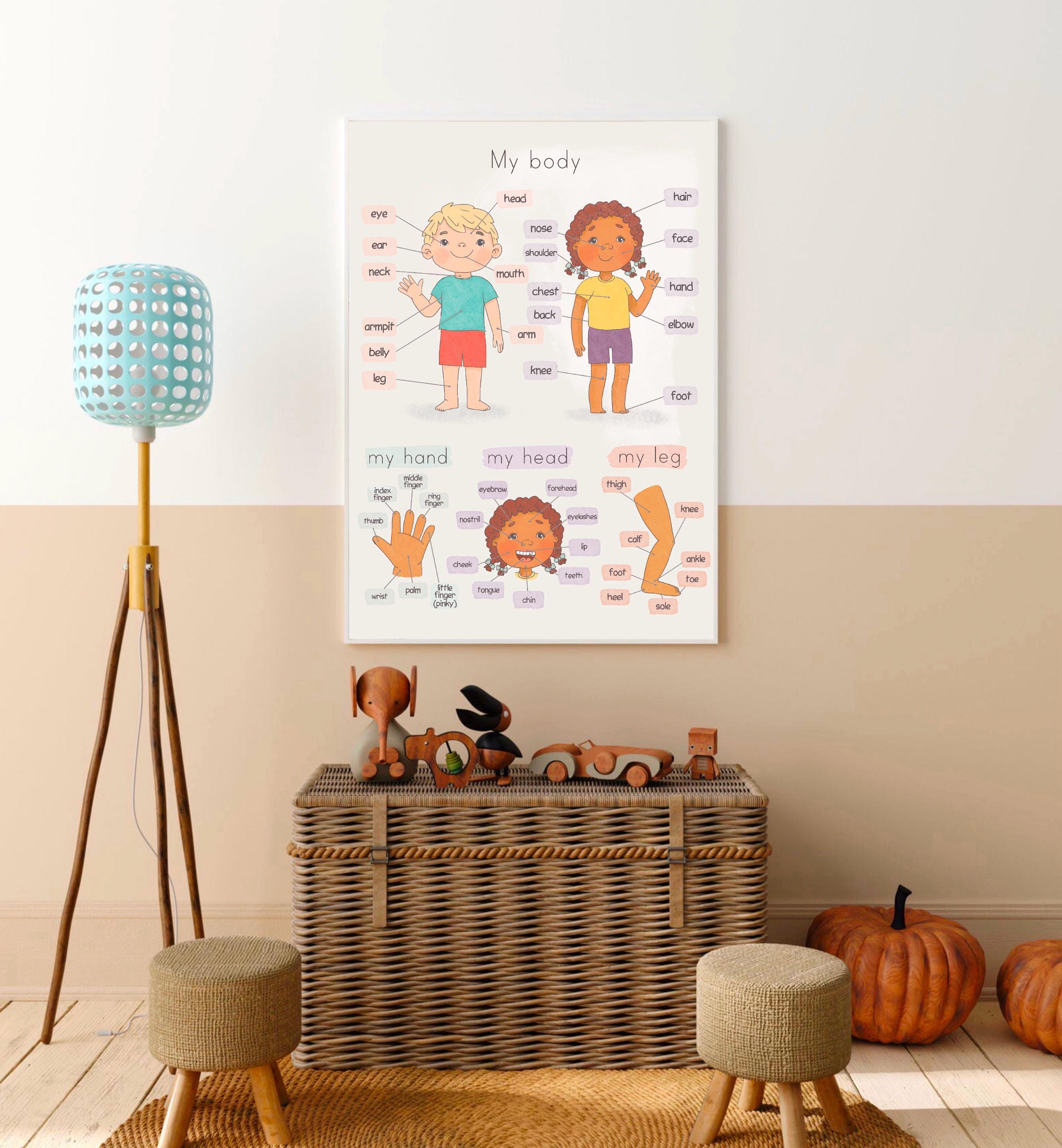 Human Body Poster for Toddlers Body Parts Educational Poster for Kids ...