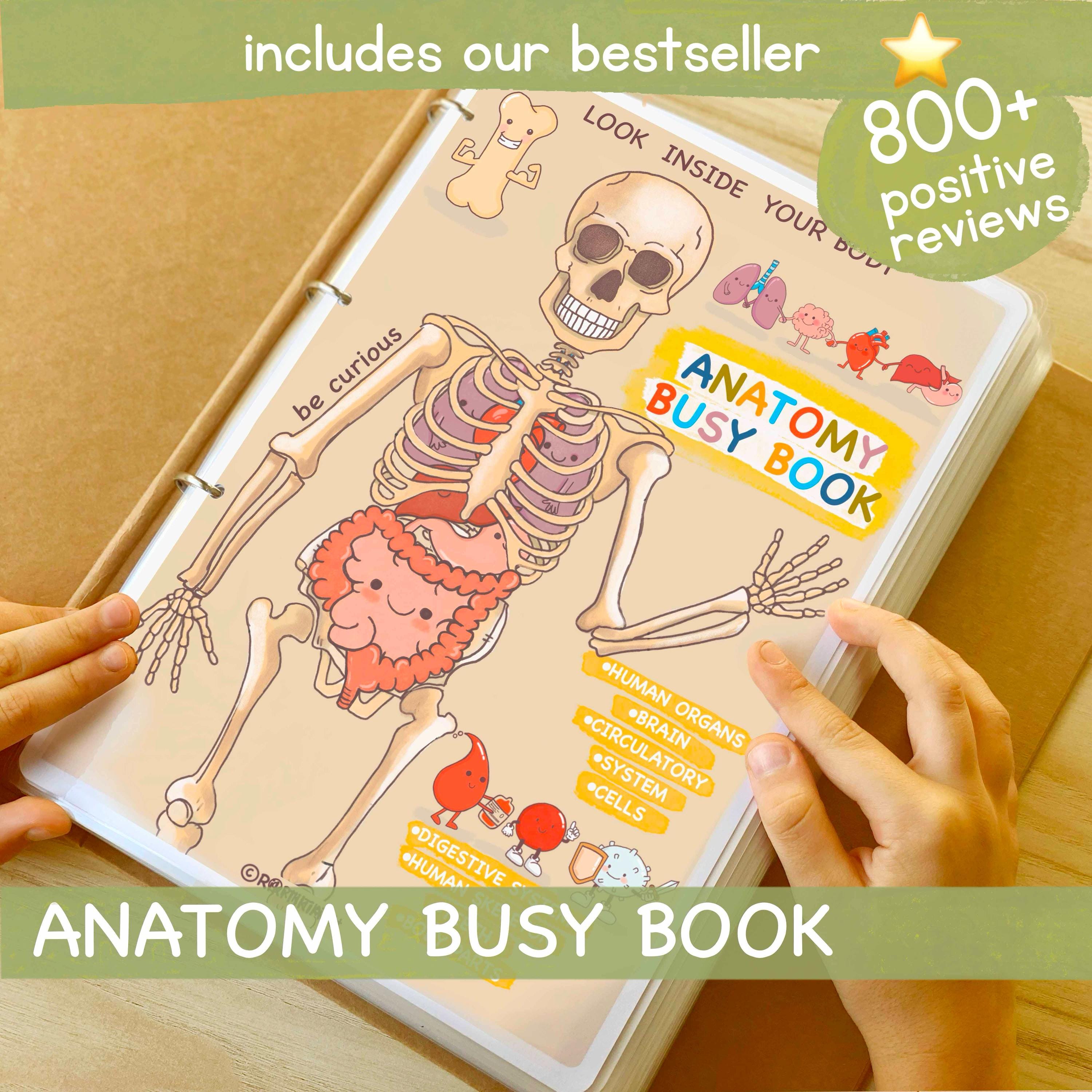 Anatomy Activity Book: Human Body Worksheets for Kids (digital Download ...