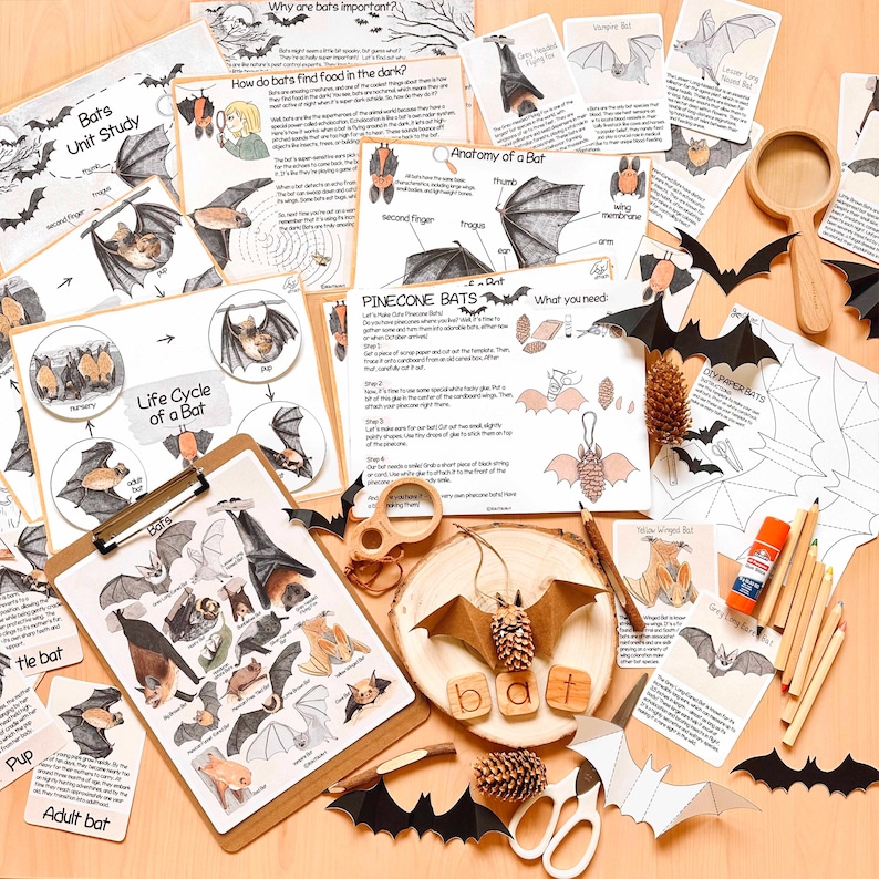 Fall Unit Studies Bundle – Spiders, Bats, Pumpkins & Turkey Unit Study ...