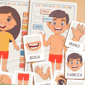 Spanish Body Parts Printable Montessori Materials, Human Anatomy ...