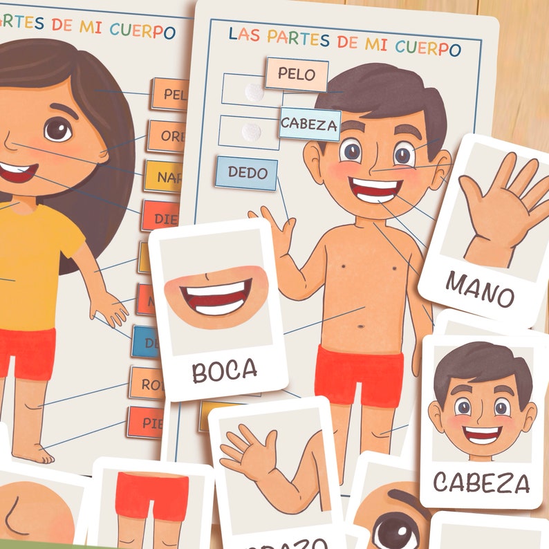 Spanish Body Parts Printable Montessori Materials, Human Anatomy ...