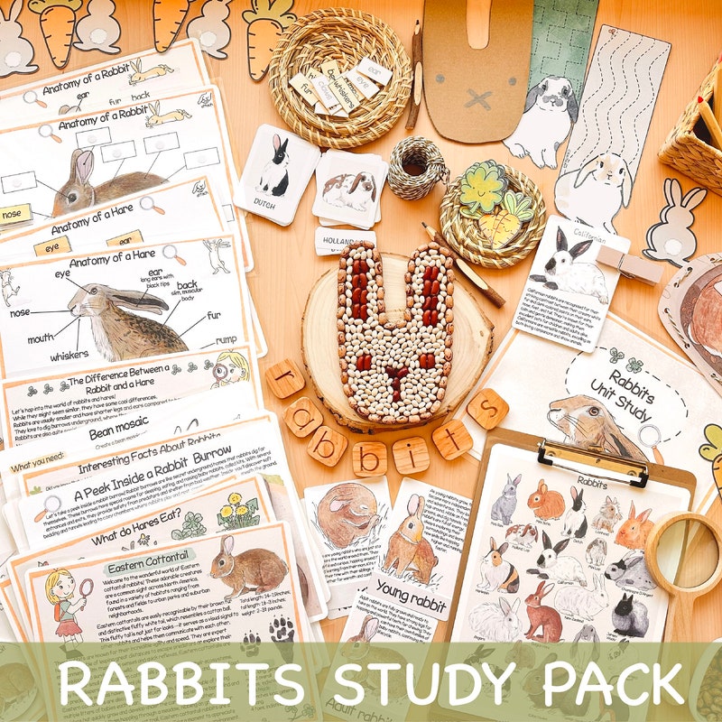 The Unit Season - Etsy