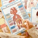 Muscular System Learning Bundle Human Anatomy Activity About Me Toddler ...