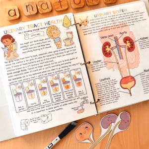 Human Anatomy Busy Book for Kids, Personalized Toddler Activity Book ...
