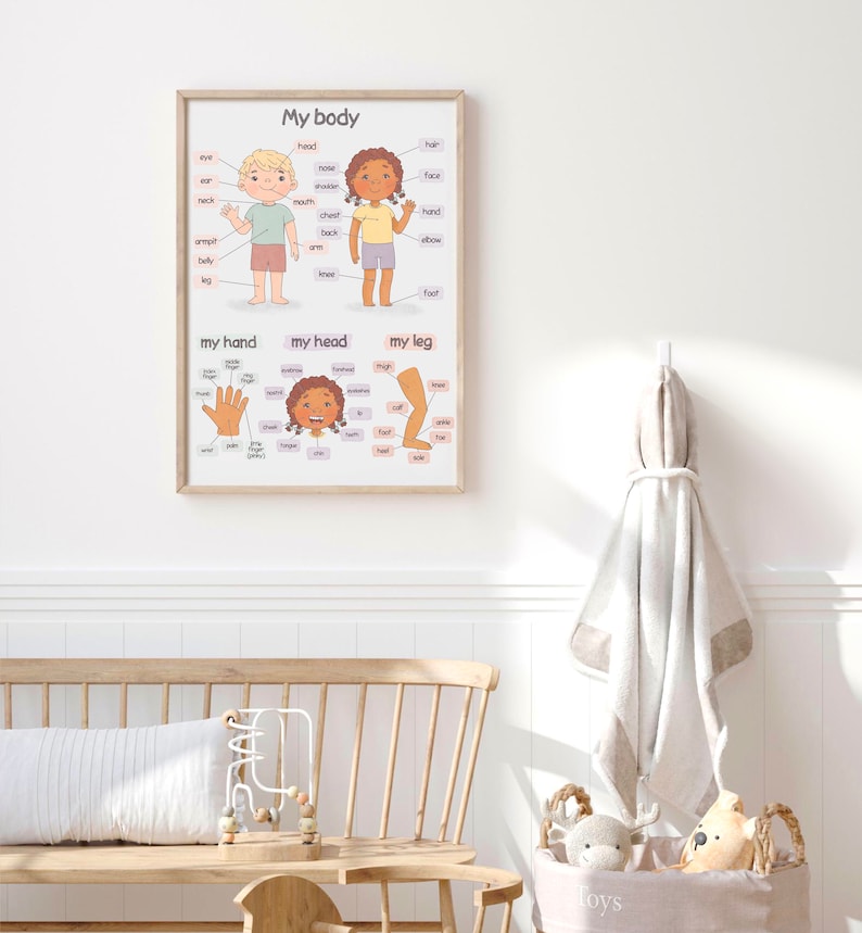 Body Parts Poster Montessori Homeschool Educational Posters - Etsy
