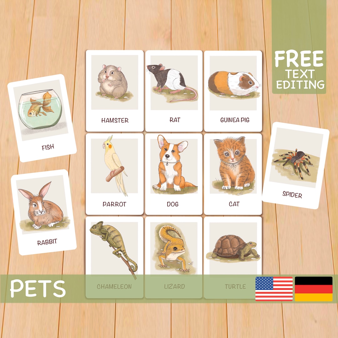 Pets Flashcards, Homeschool Montessori Materials Flash Cards, Printable ...