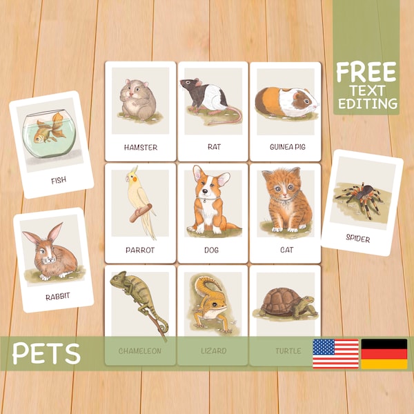 Animal Flash Cards - Etsy