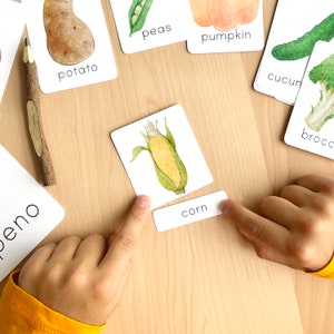 18 Watercolor Vegetables Flash Cards for Kids Vegetable Flashcards for ...