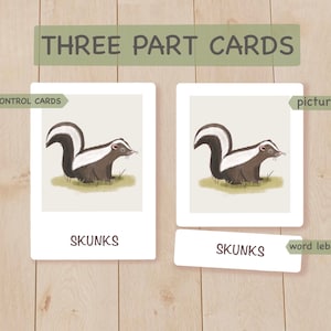 Woodland Animals Flash Cards, Printable Montessori Materials ...