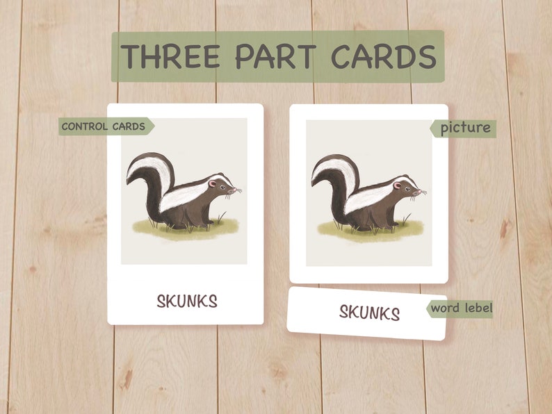 Woodland Animals Flash Cards Printable Montessori Materials - Etsy Canada