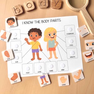 Body Parts Matching Activity for Kids – Human Anatomy Preschool ...