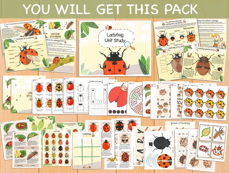 Ladybug Unit Study Homeschool Spring Printables Charlotte Mason ...
