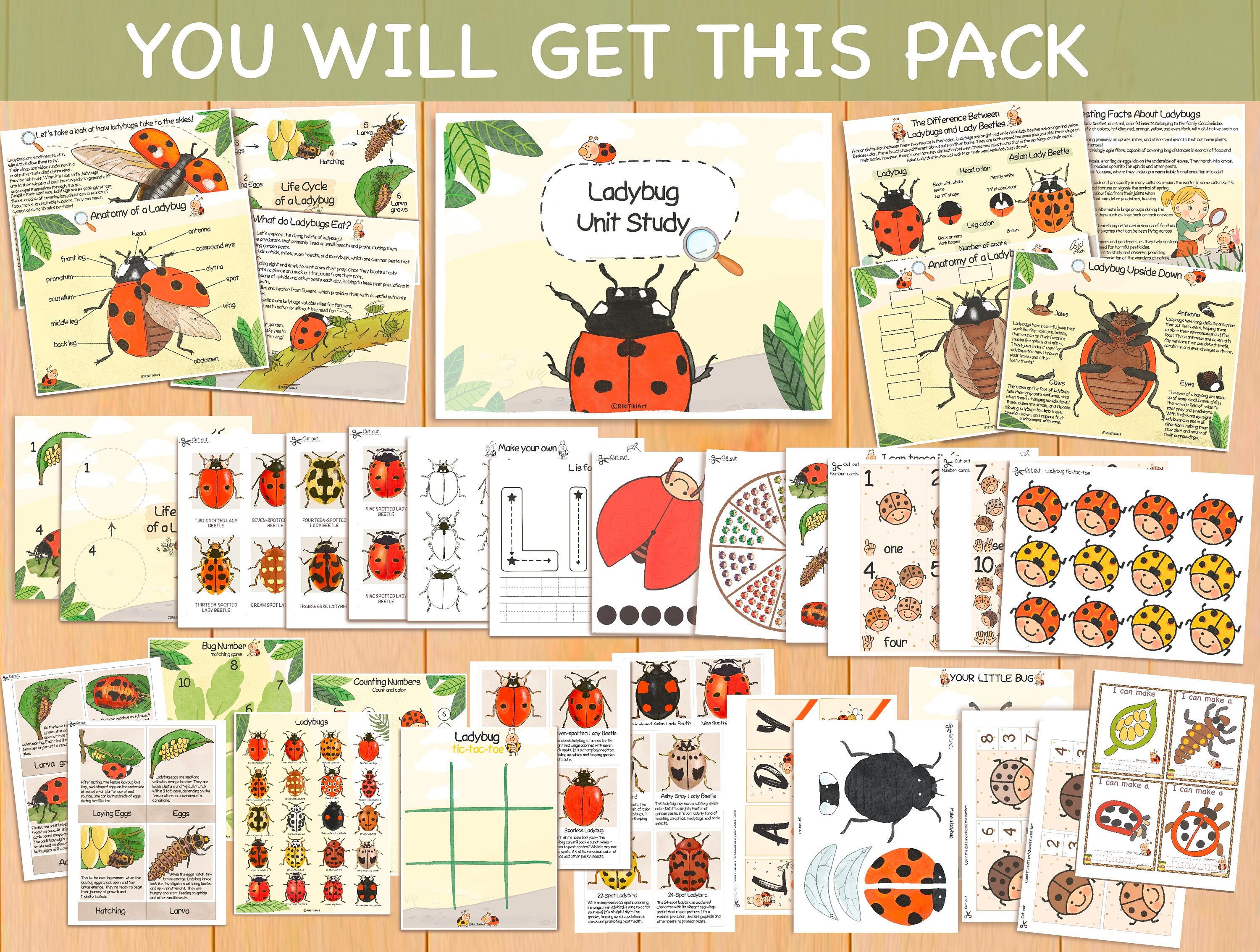 Ladybug Unit Study Homeschool Spring Printables Charlotte Mason ...