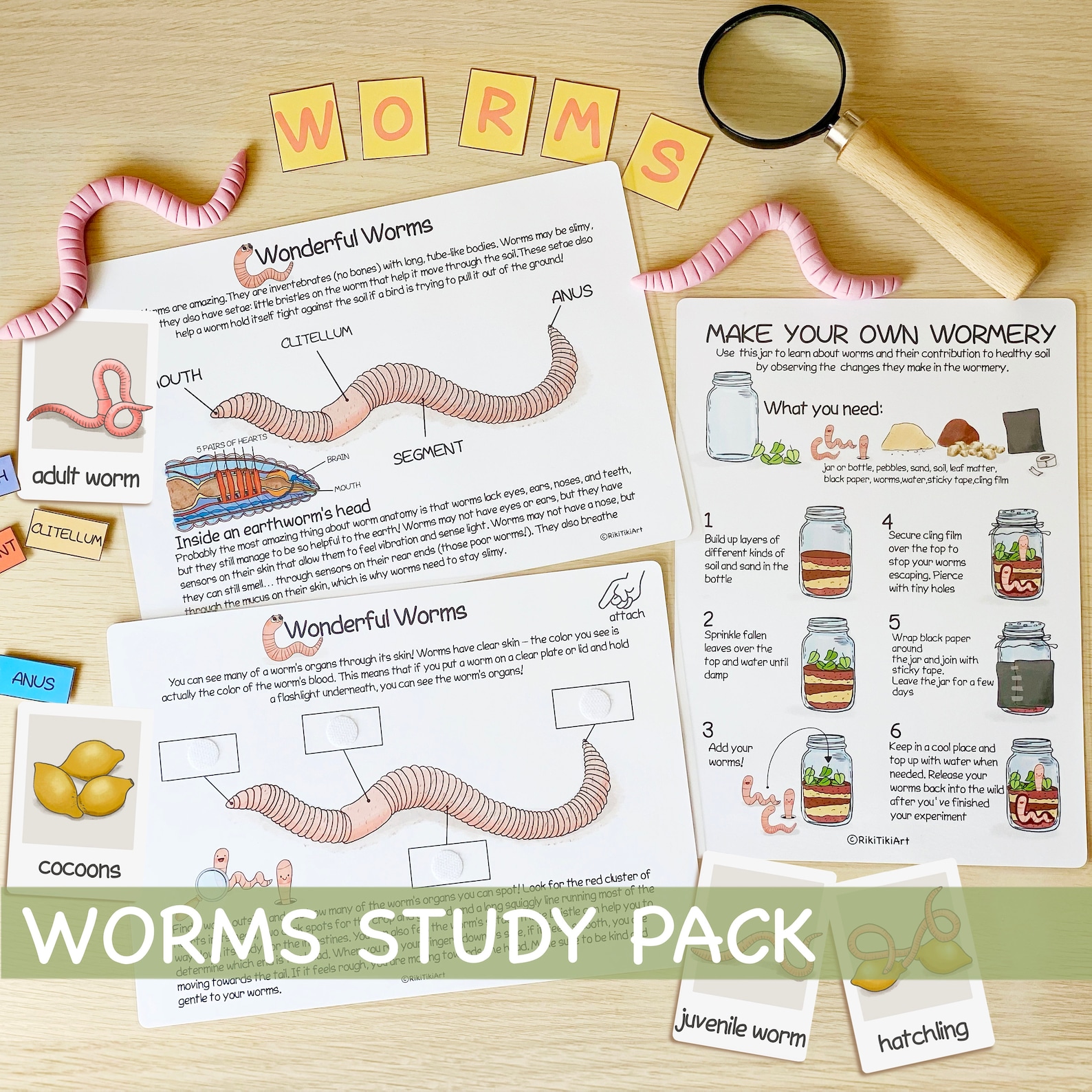 Worms Unit Study Charlotte Mason Printable Resources Homeschool ...