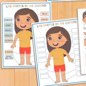 Spanish Body Parts Printable Montessori Materials, Human Anatomy ...