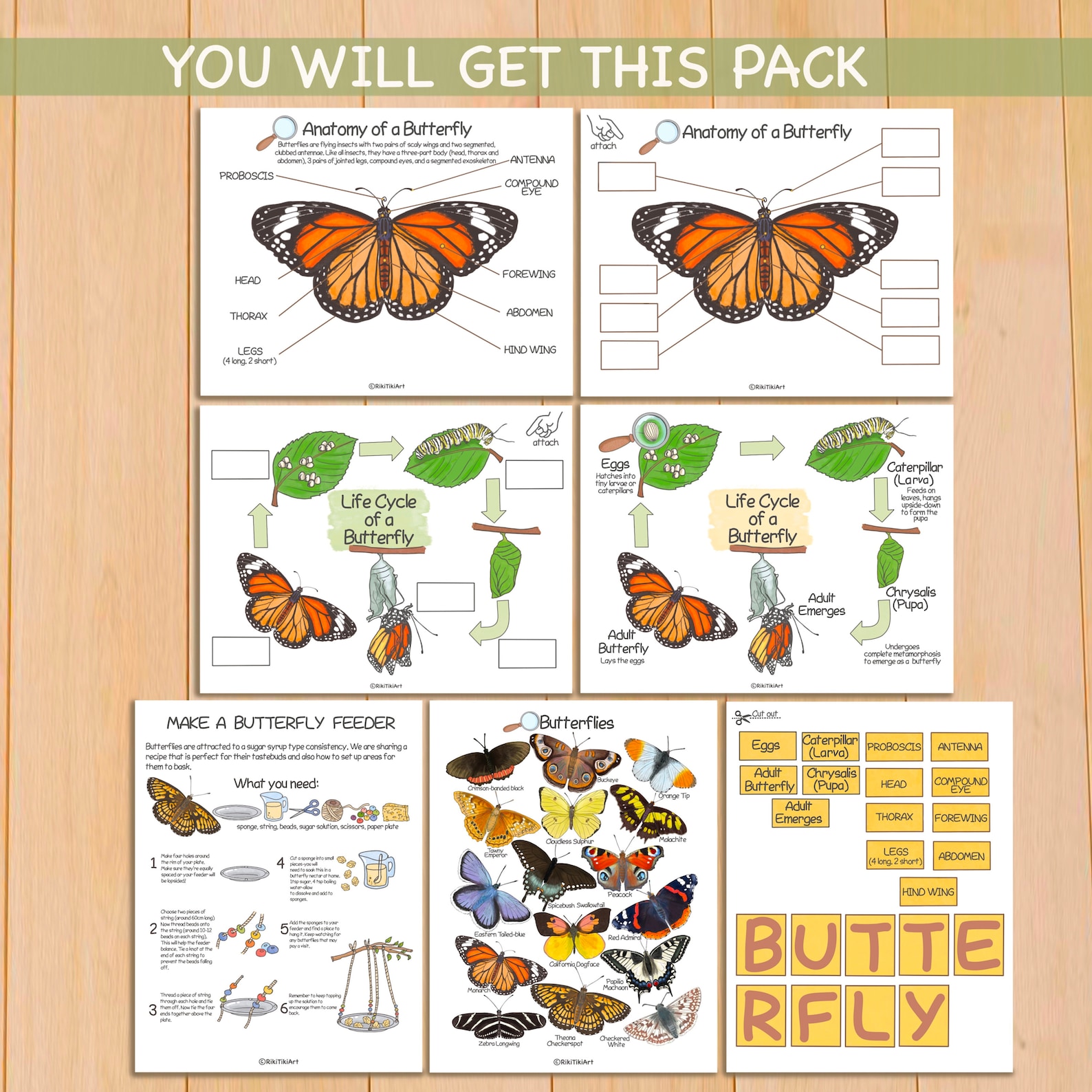Butterfly Unit Study Bundle Charlotte Mason Nature Study Homeschool Learning Materials ...