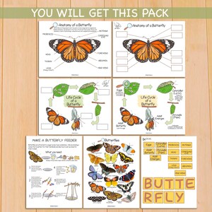 Butterfly Unit Study Bundle Charlotte Mason Nature Study Homeschool ...