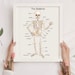 Human Skeleton Poster for Kids Human Bones Downloadable Prints ...