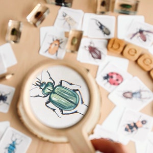 Beetles Study Activity Magnifying Glass Matching Game Homeschool ...