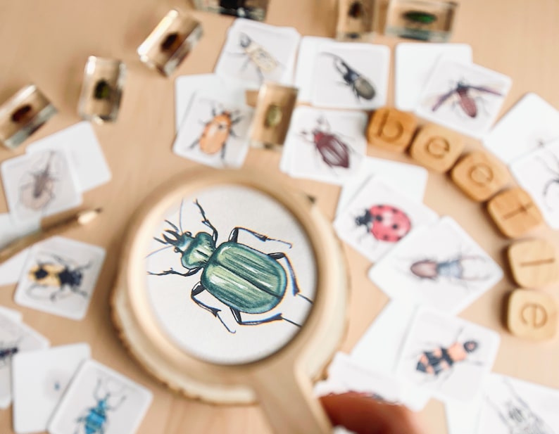 Beetles Study Activity Magnifying Glass Matching Game - Etsy