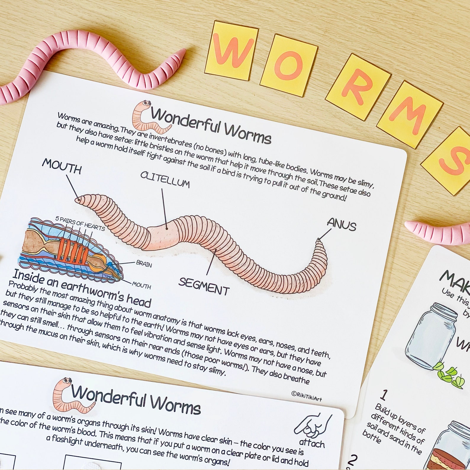 Worms Unit Study Charlotte Mason Printable Resources Homeschool ...